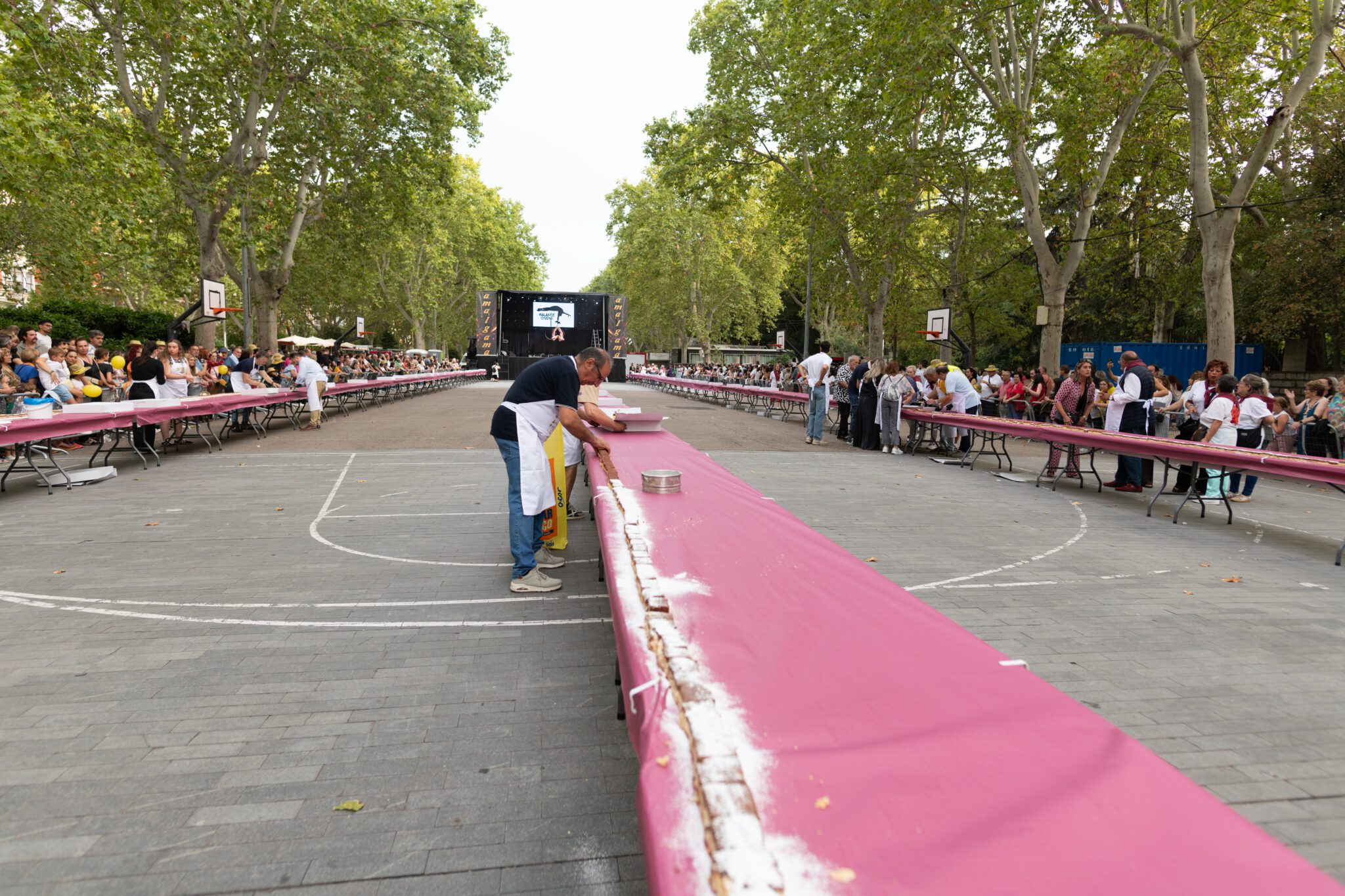 The Longest Line of Cakes in the World – Official World Record