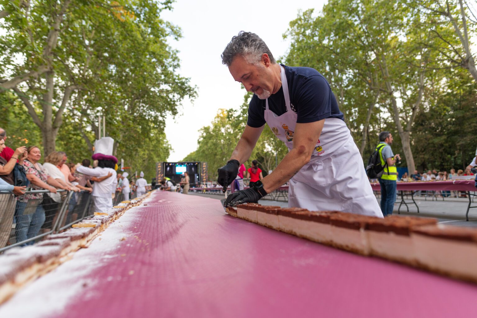The Longest Line of Cakes in the World – Official World Record